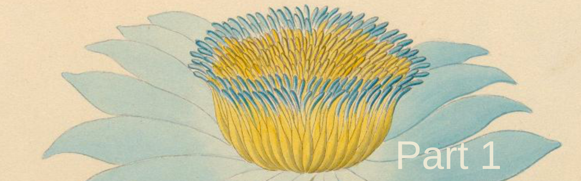 Movement And Creativity