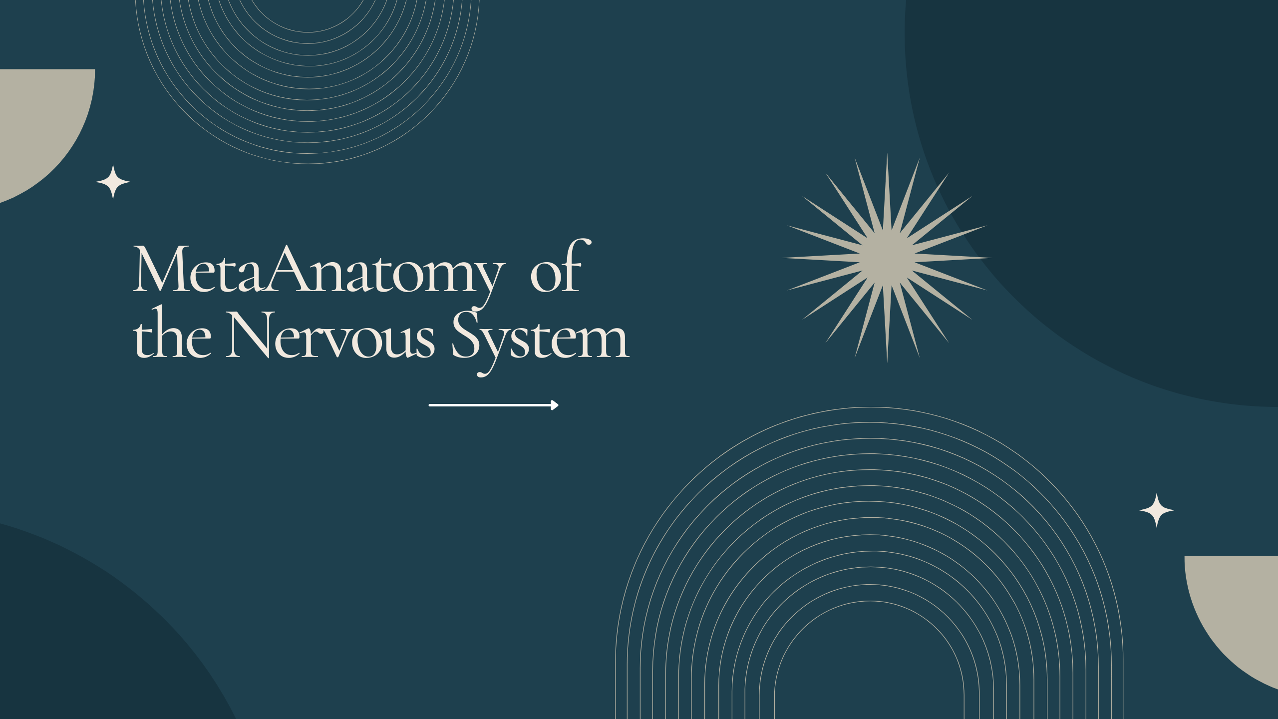 MetaAnatomy of the Nervous System 20-Hour Course — MetaAnatomy