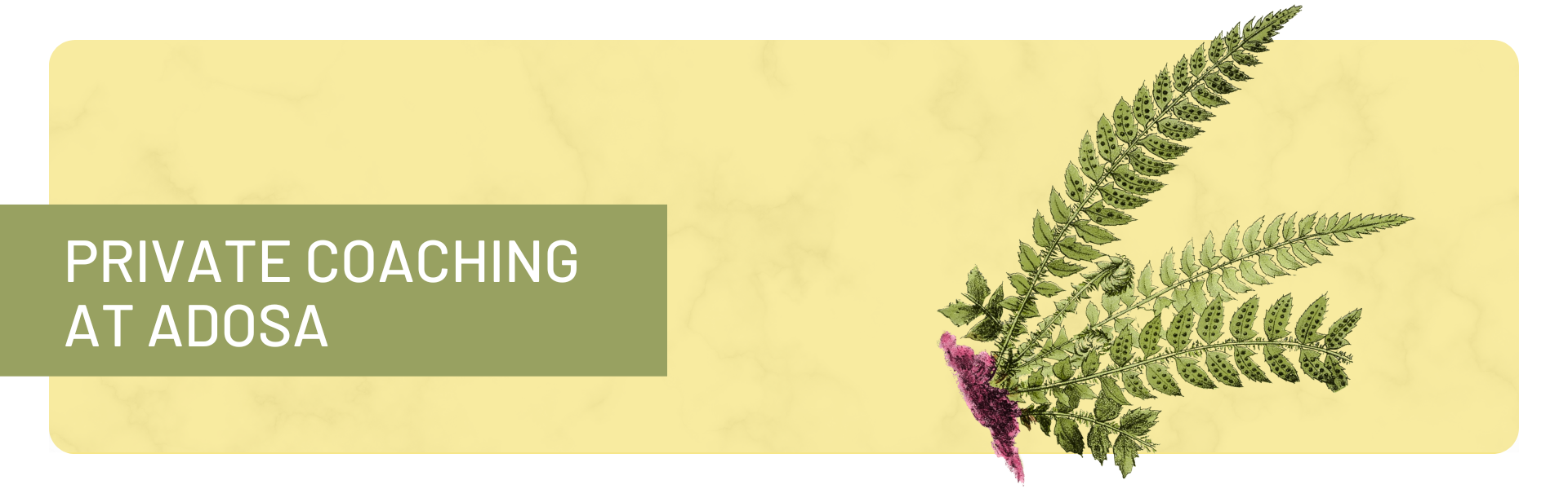 Private Coaching — Adosa Wellness