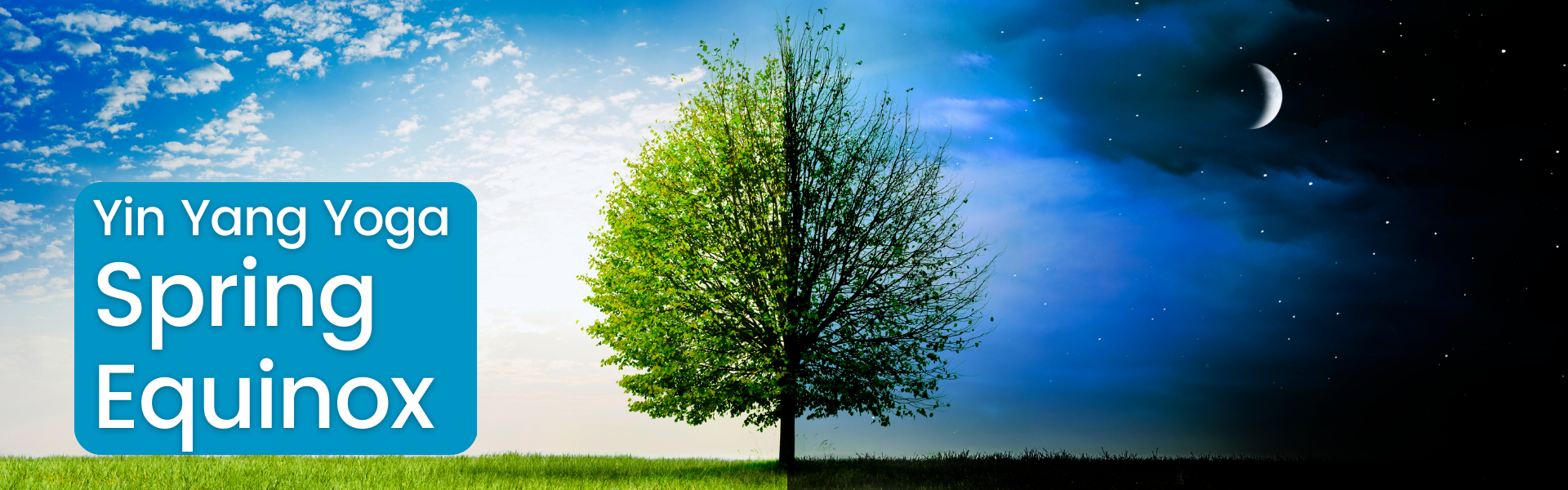 Spring Equinox Yin Yang Yoga — Seasonal Intentions