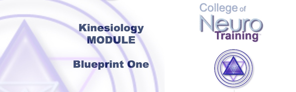 College of Neuro-Training