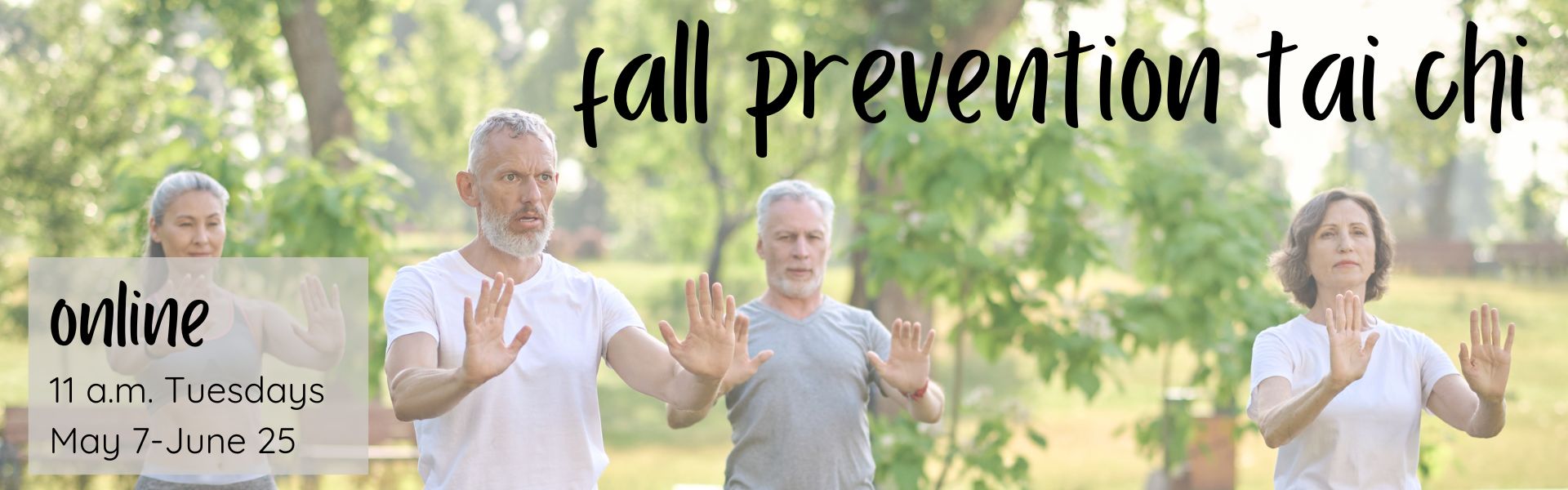 spring fall prevention Tai Chi--ONLINE — jo bregnard