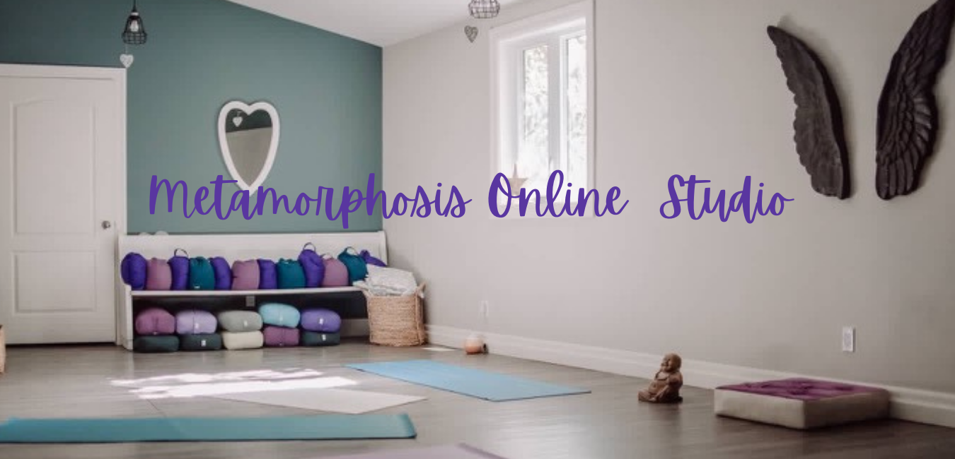 Metamorphosis Online Studio