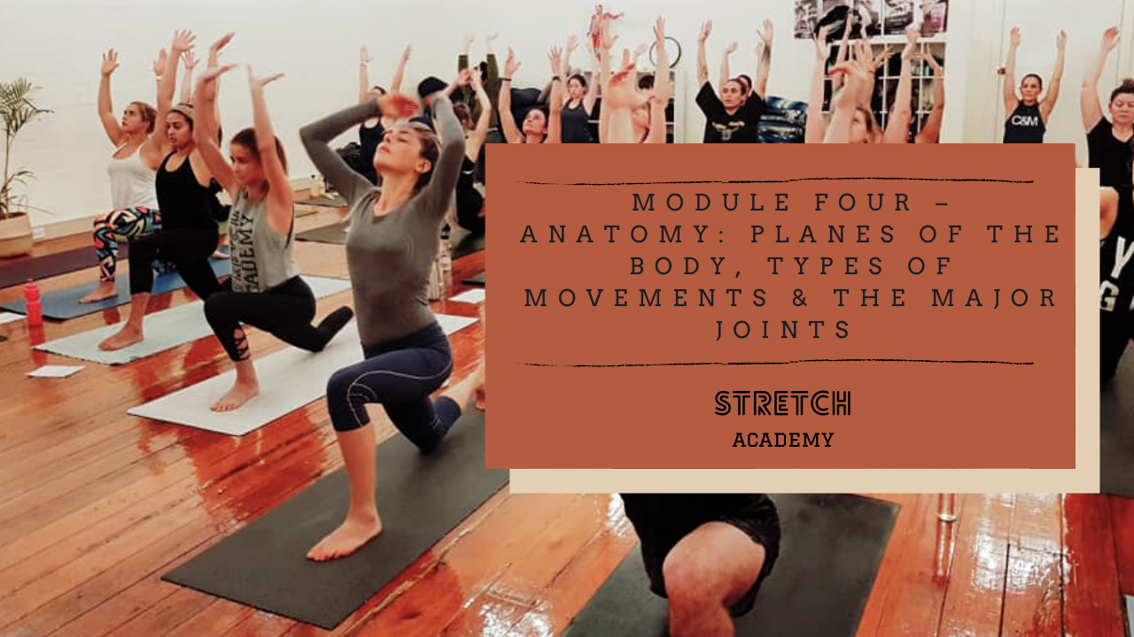 350hr Teacher Training Module 4 - Planes of the Body, Types of Movement ...